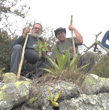 .::Instituto Tecnológico de Úrsulo Galván::. - El ITUG participa en ...