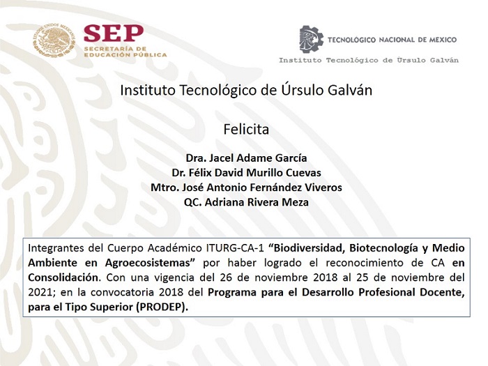 .::Instituto Tecnológico de Úrsulo Galván::. - Docentes del ITUG ...